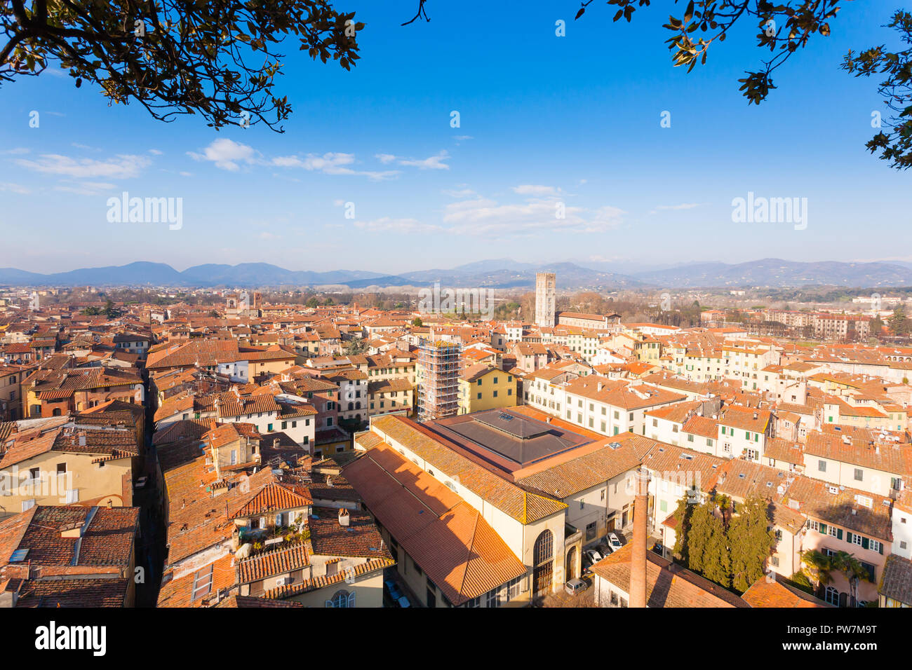 Lucca architecture hi-res stock photography and images - Alamy