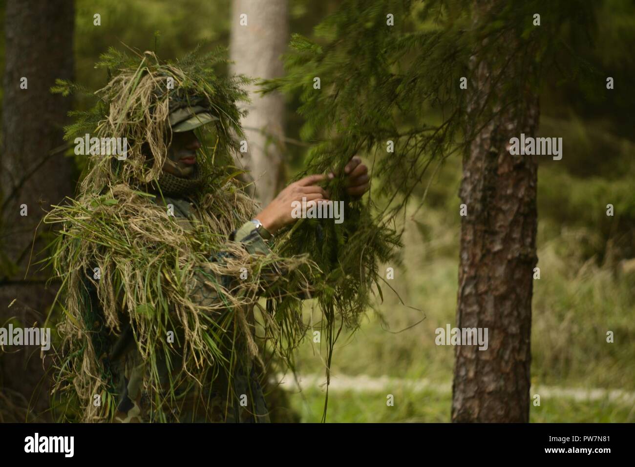 A Bulgarian soldier breaks off tree branches for his ghillie suit ...