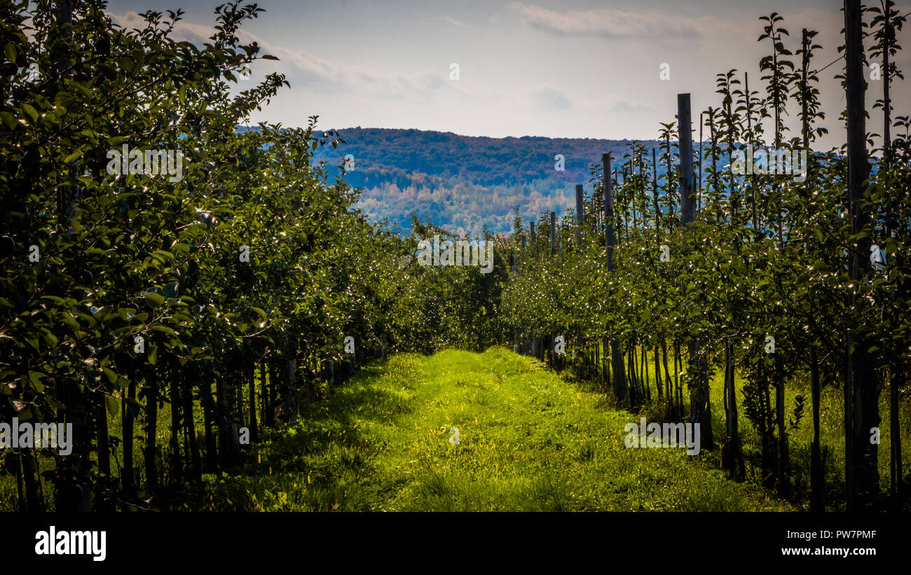 Oka, QC, CAN Stock Photo - Alamy