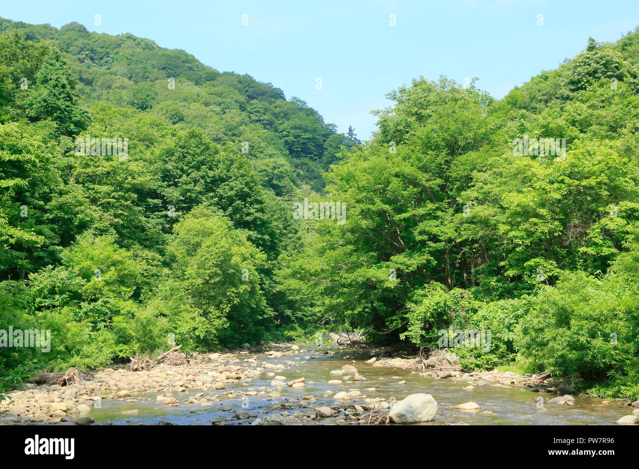 Shirakami mountains hi-res stock photography and images - Alamy
