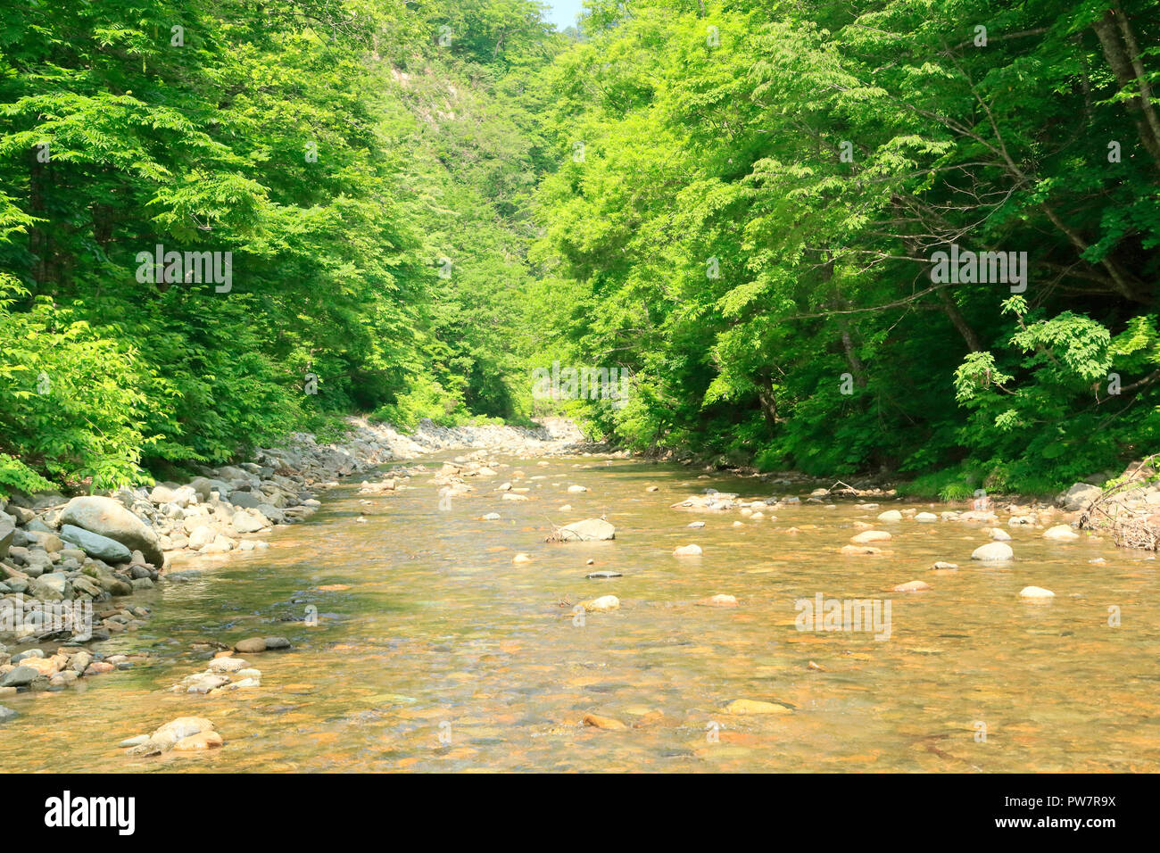 Shirakami mountains hi-res stock photography and images - Alamy