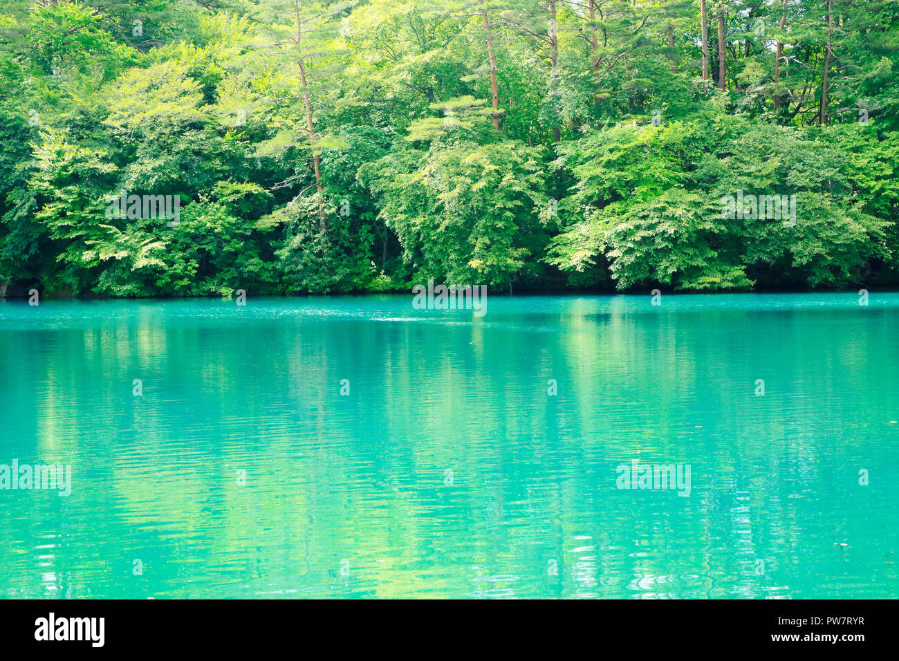 Goshiki numa hi-res stock photography and images - Alamy