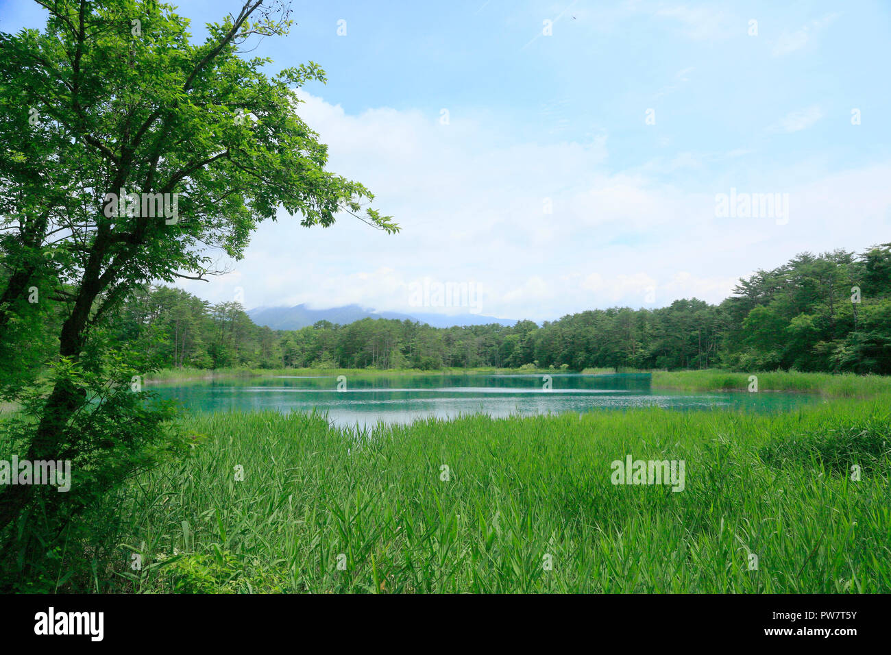 Goshiki numa hi-res stock photography and images - Alamy