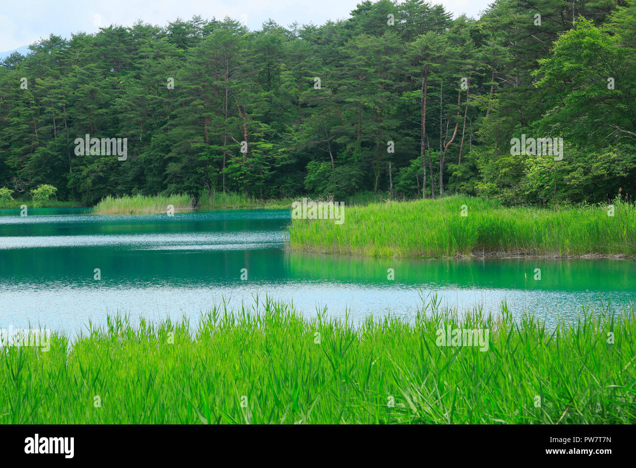 Goshiki numa hi-res stock photography and images - Alamy