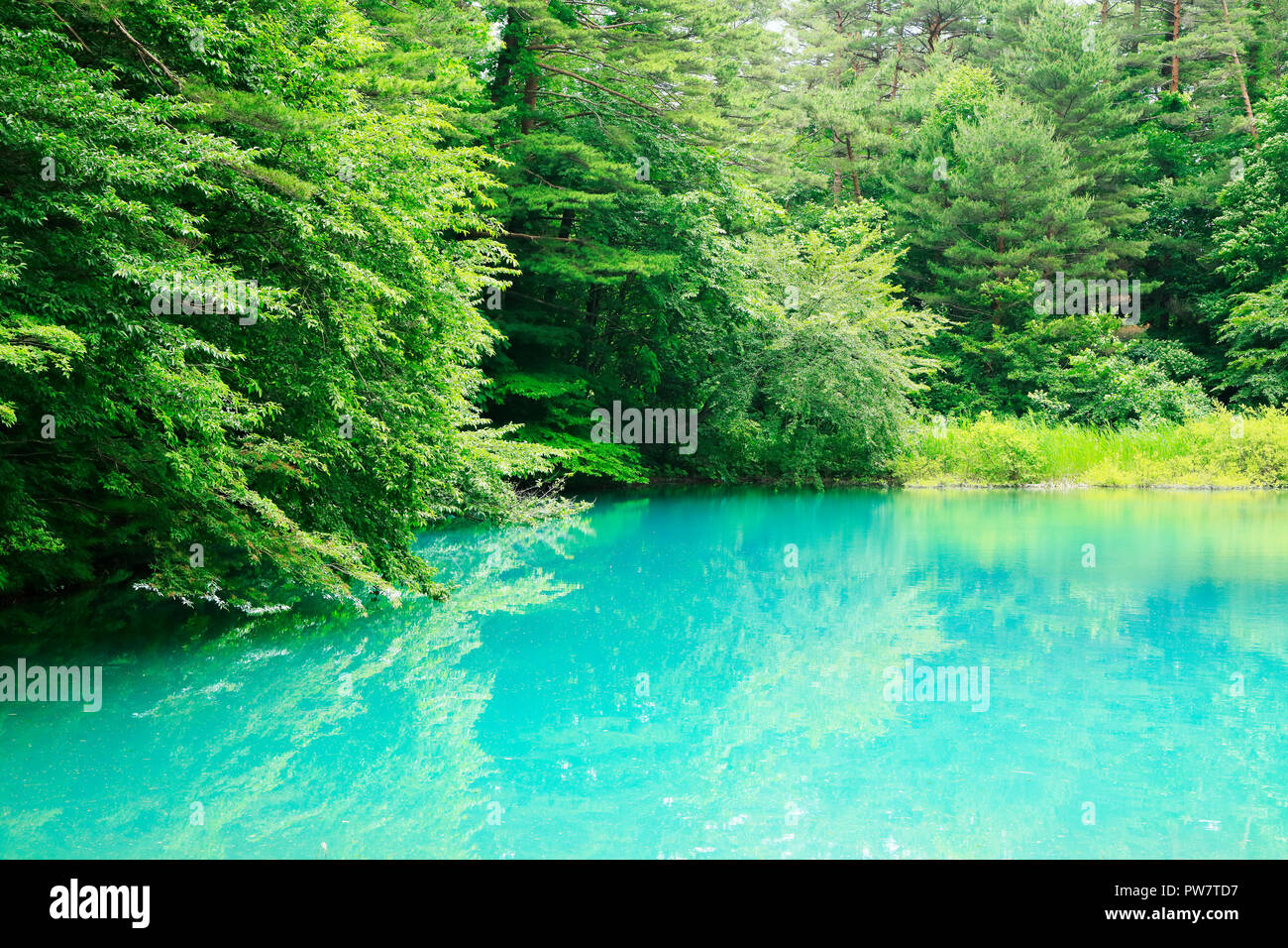 Goshiki numa hi-res stock photography and images - Alamy