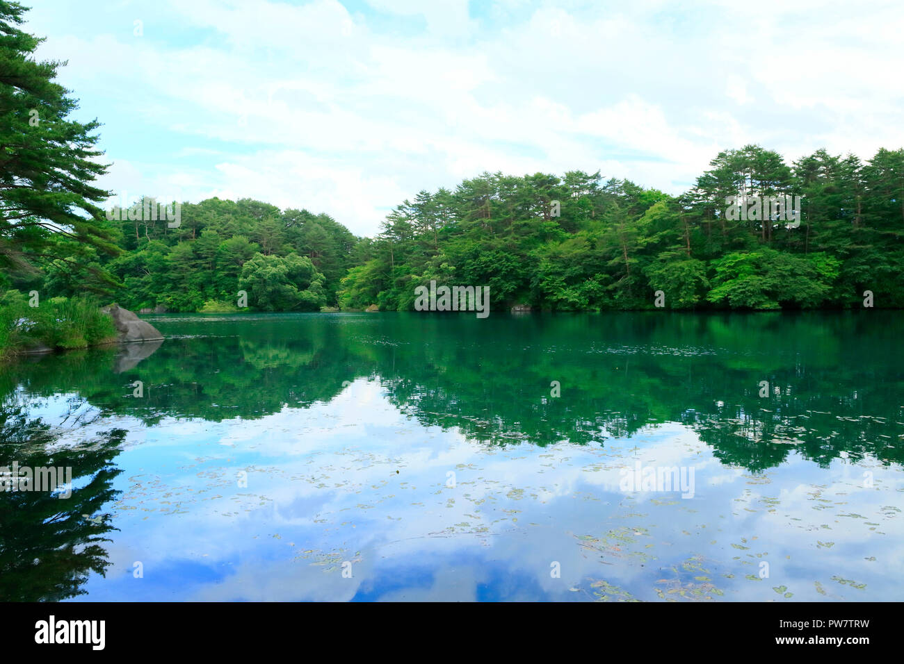 Goshiki numa hi-res stock photography and images - Alamy