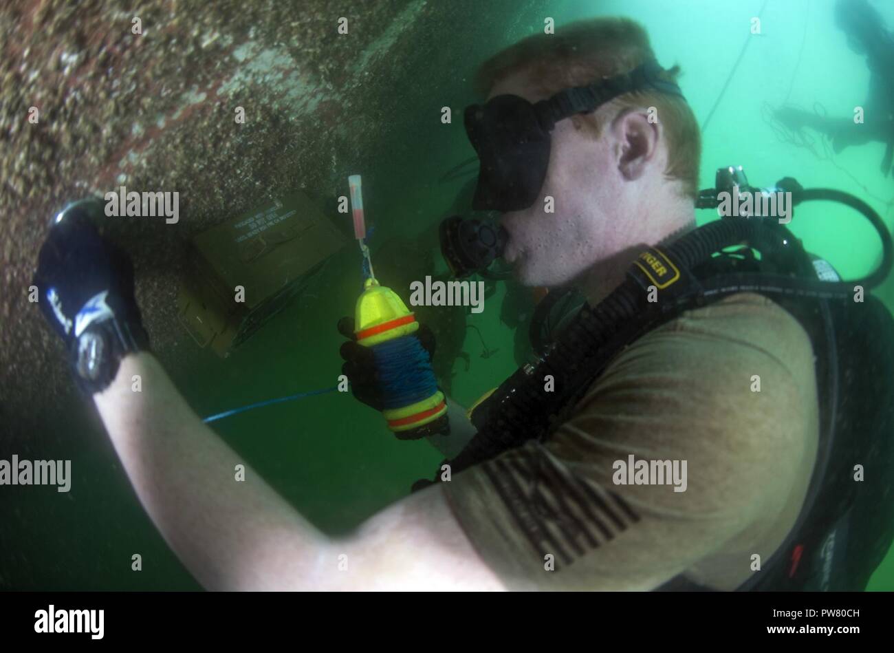 Limpet mine hi-res stock photography and images - Alamy