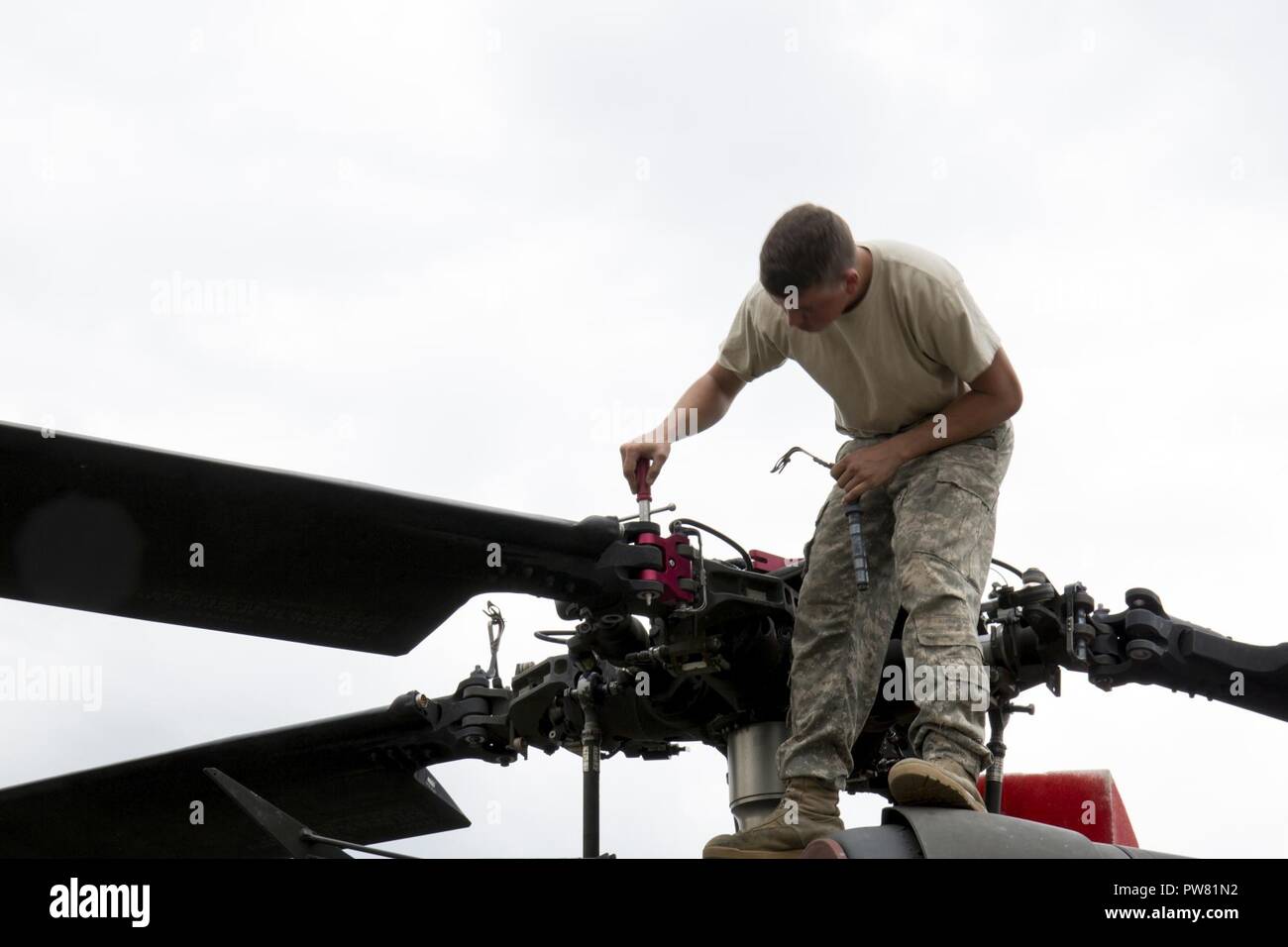 Ten Army UH-60 and three HH-60 Blackhawk helicopters that participated ...