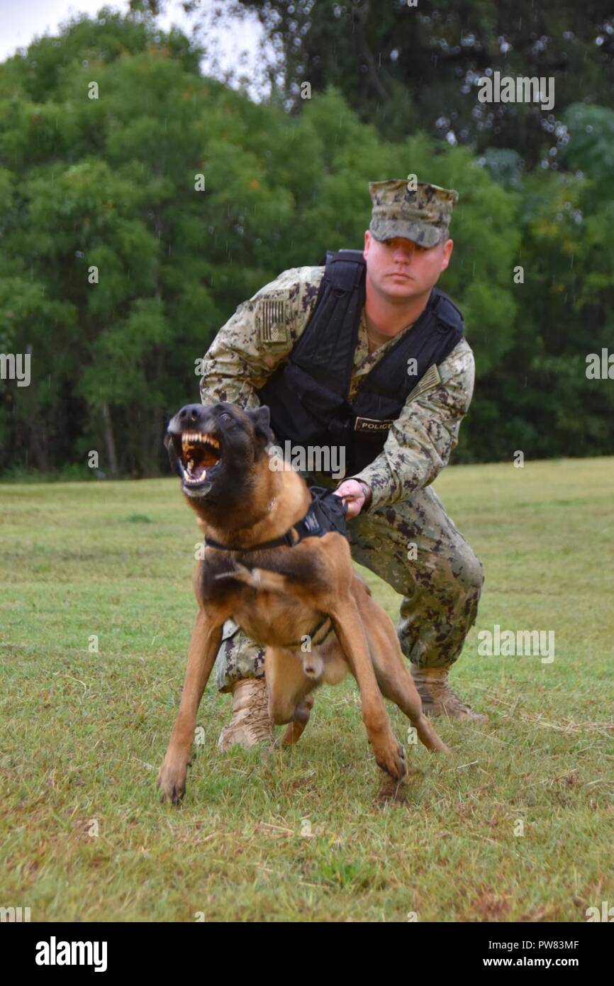 FORT WORTH, Texas (Aug. 29, 2017) Master-at-Arms 1st Class Ethan Marsh ...
