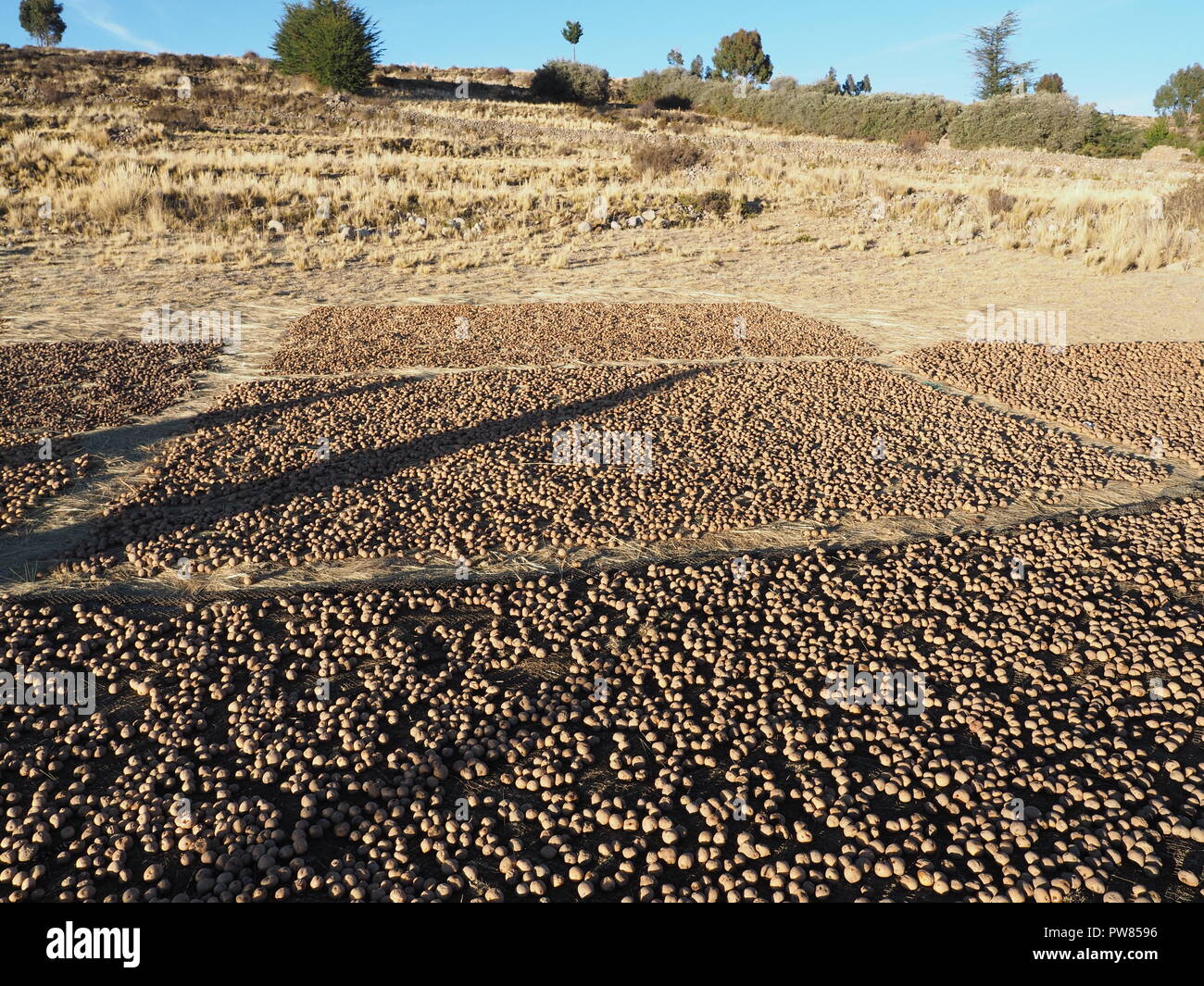 Chuno hi-res stock photography and images - Alamy