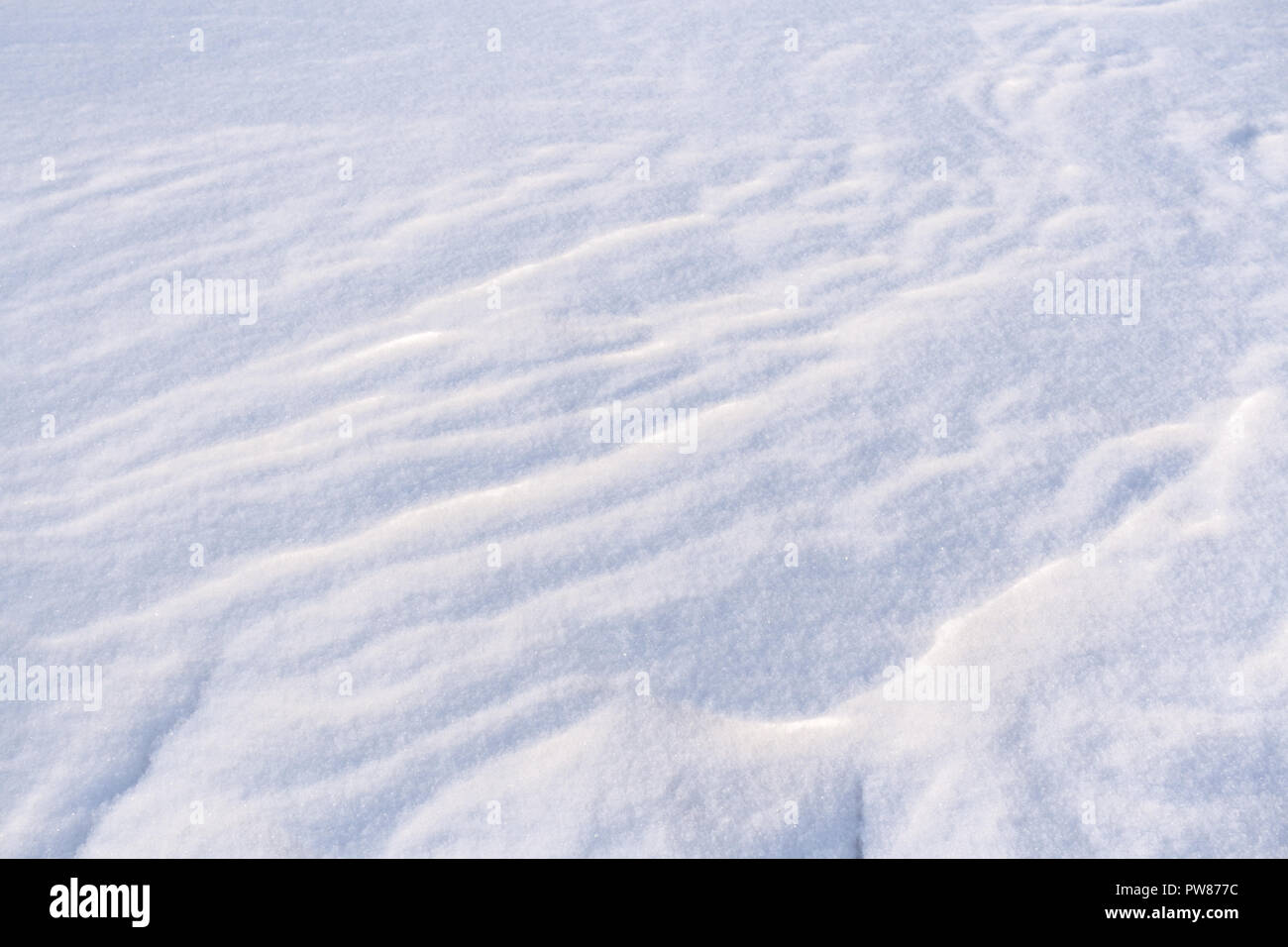 Ground surface covered with fluffy freshly fallen white snow Stock ...