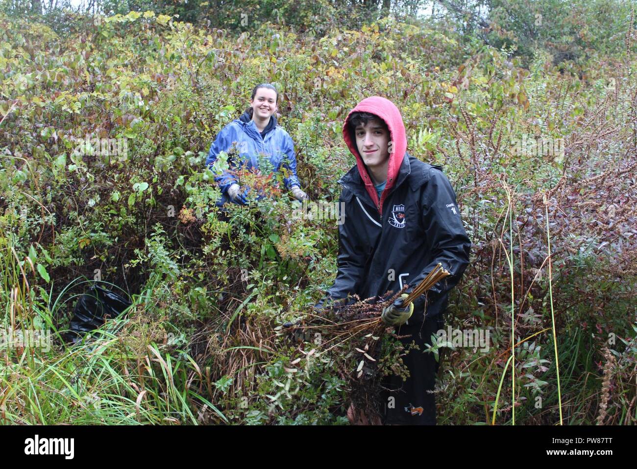 Students from Keene High School help pull out the invasive Purple ...