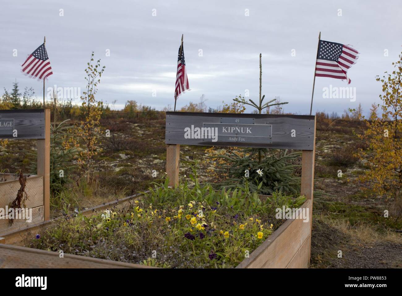 United states army reserve flags hi-res stock photography and images ...