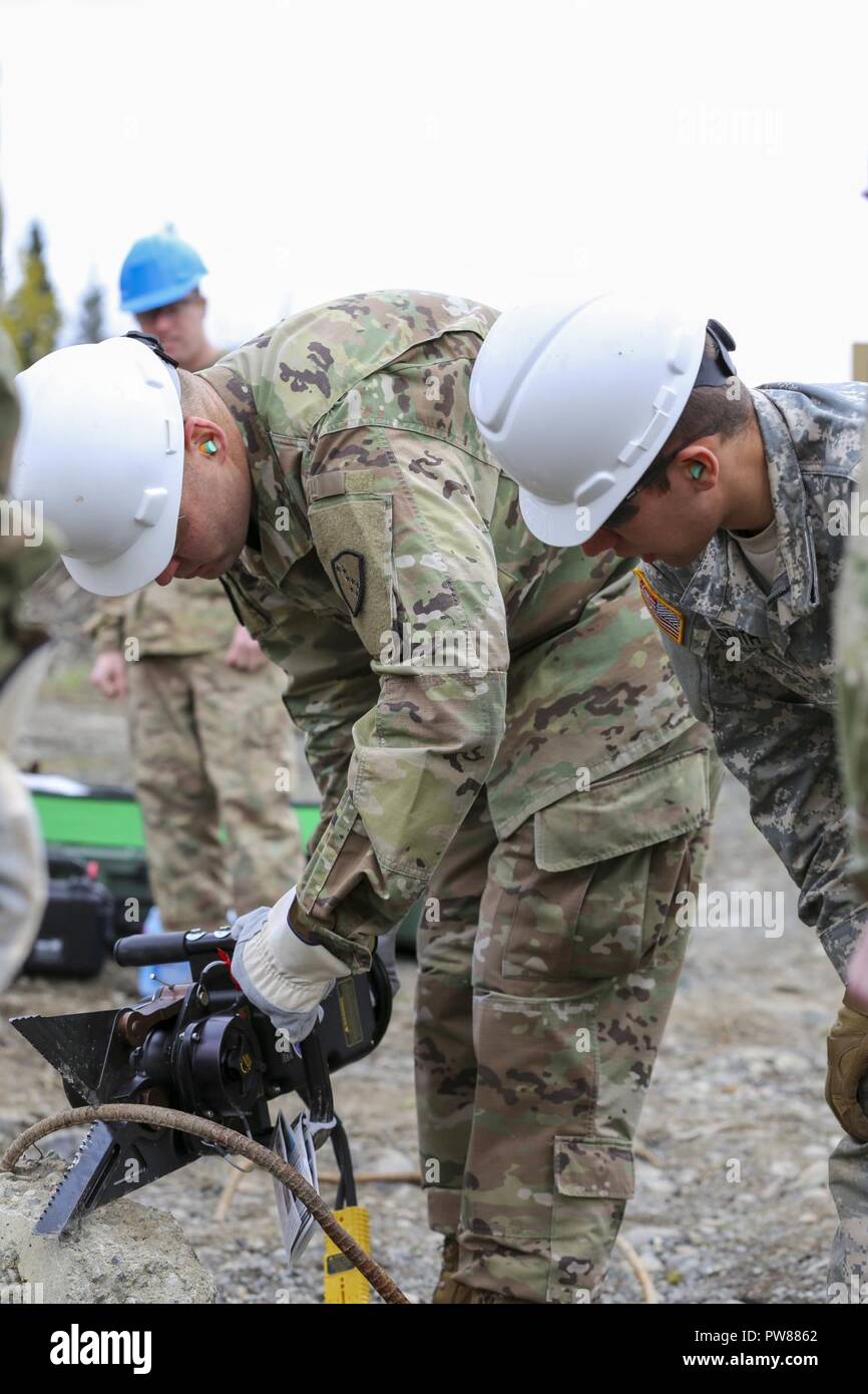 Eight Alaska Army Guardsmen from the 207th Engineer Utility Detachment ...