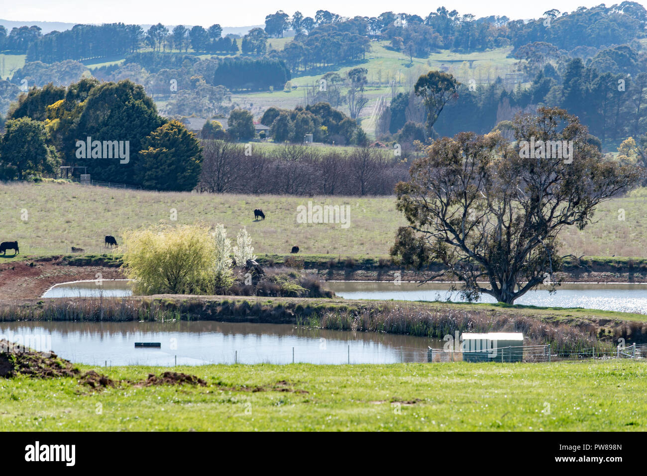 Nashdale hi-res stock photography and images - Alamy