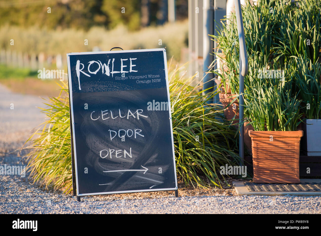Rowlee vineyard hi-res stock photography and images - Alamy