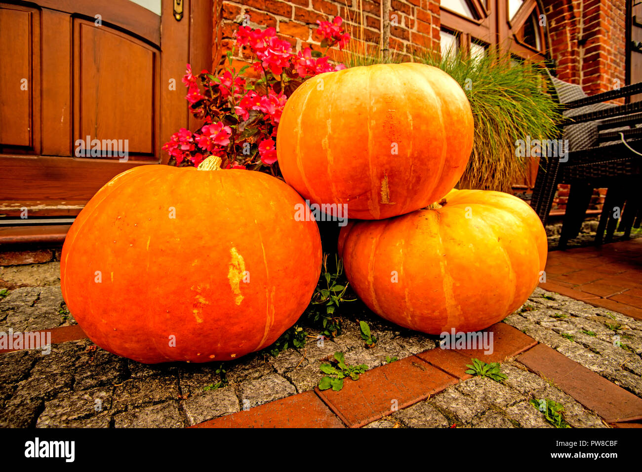 Big squash hi-res stock photography and images - Alamy