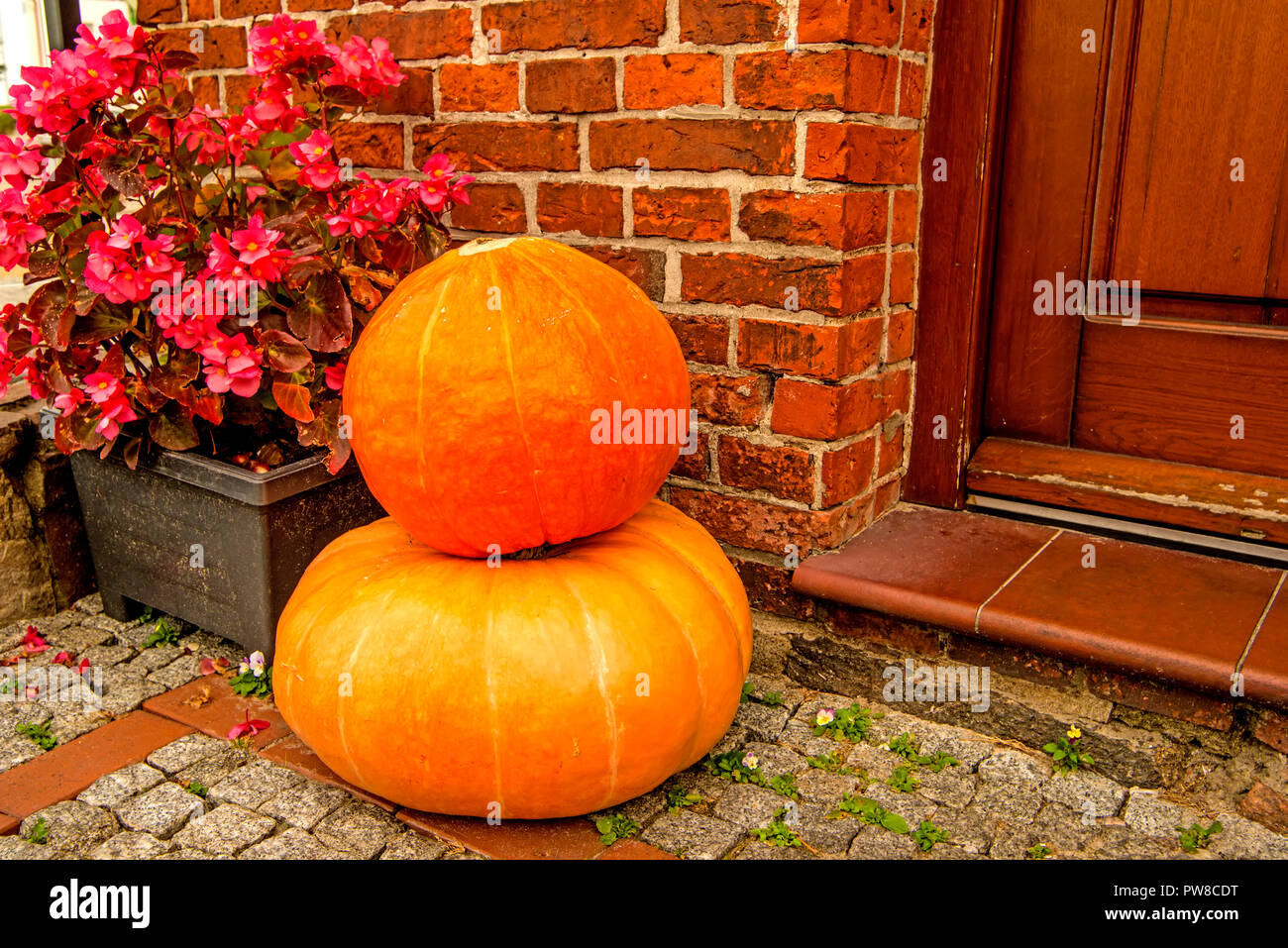 Big squash hi-res stock photography and images - Alamy