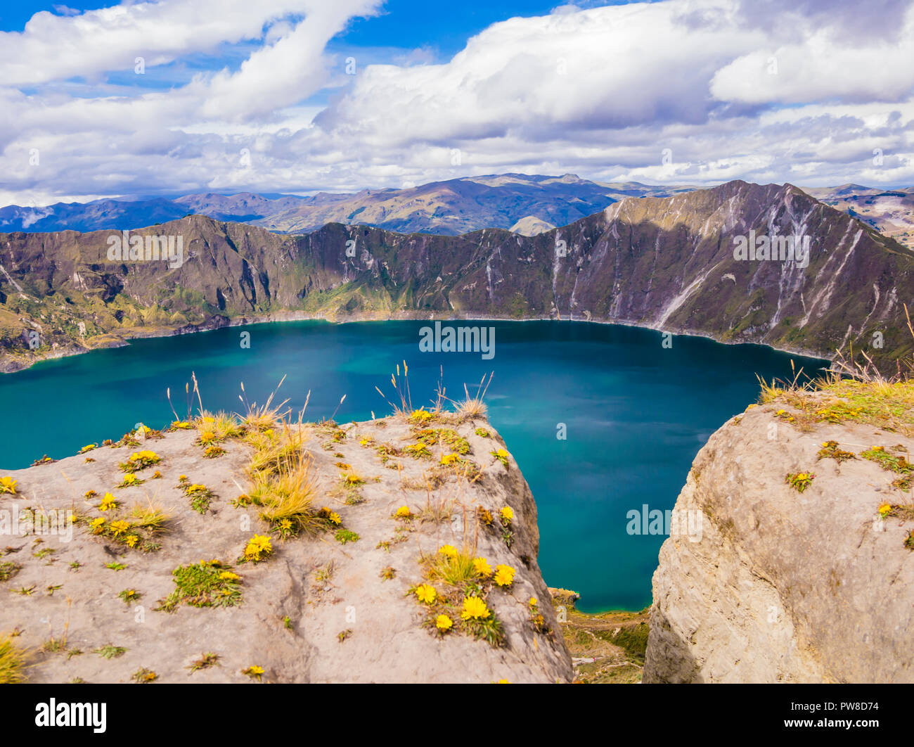 Ecuador flower andes mountain hi-res stock photography and images - Alamy