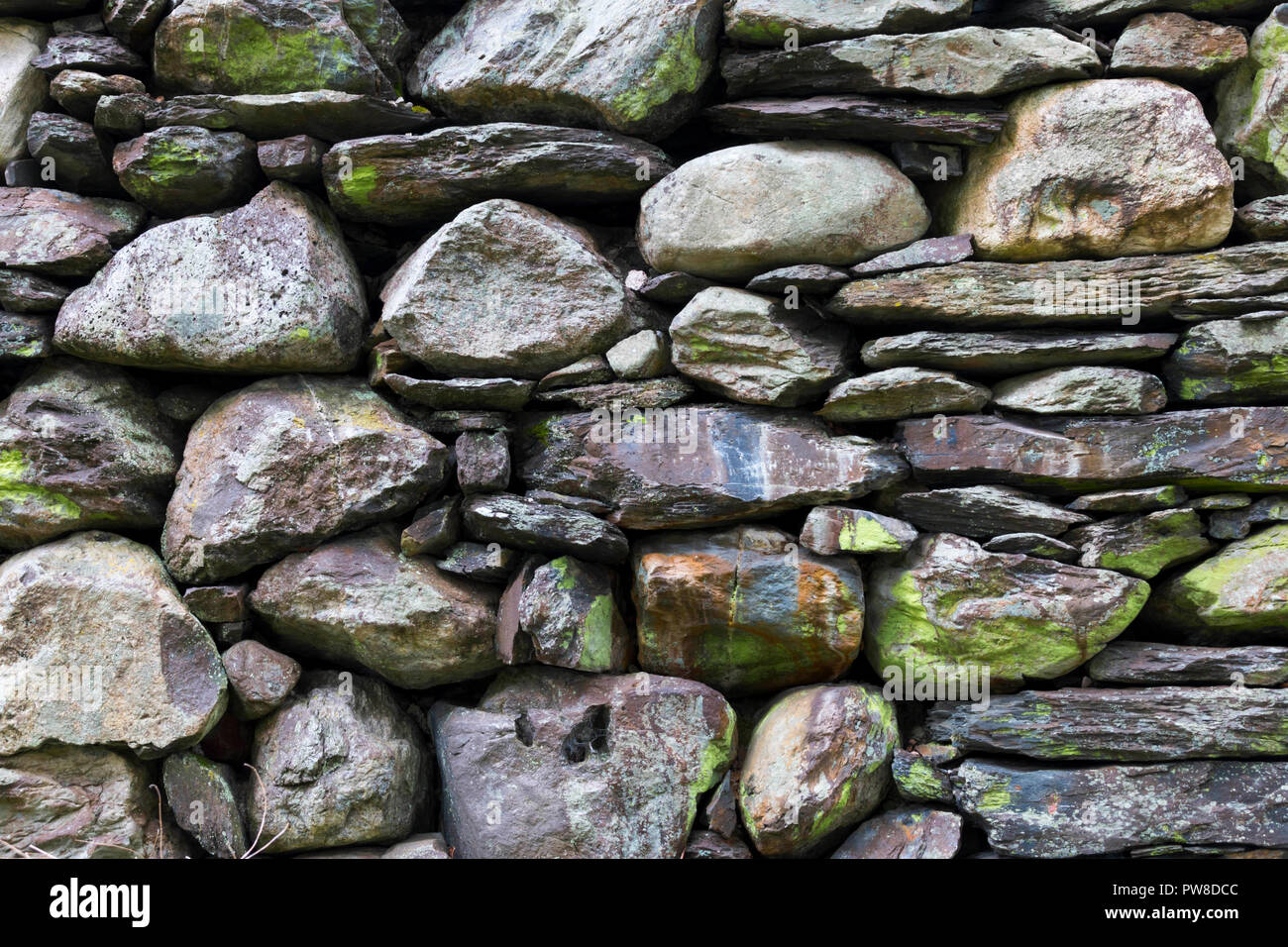 Close up of a dry stone wall with lichen and moss with plants growing ...