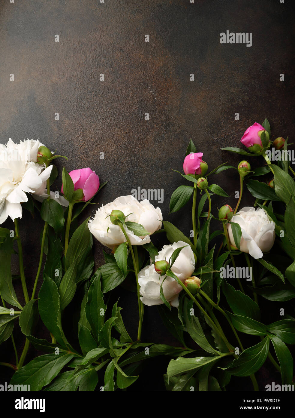 Fresh flowers background Stock Photo - Alamy