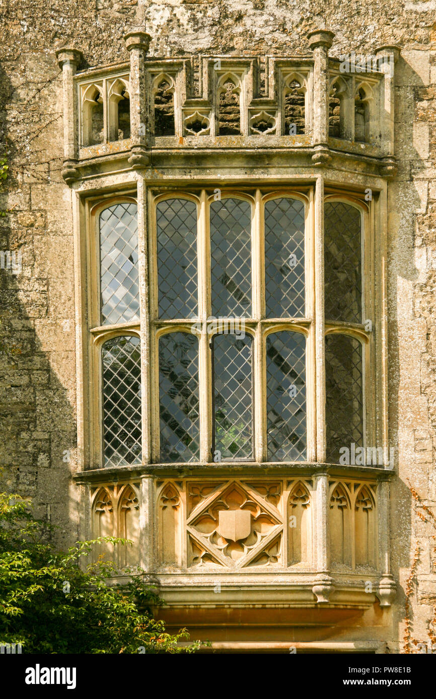 Fox talbot hi-res stock photography and images - Alamy