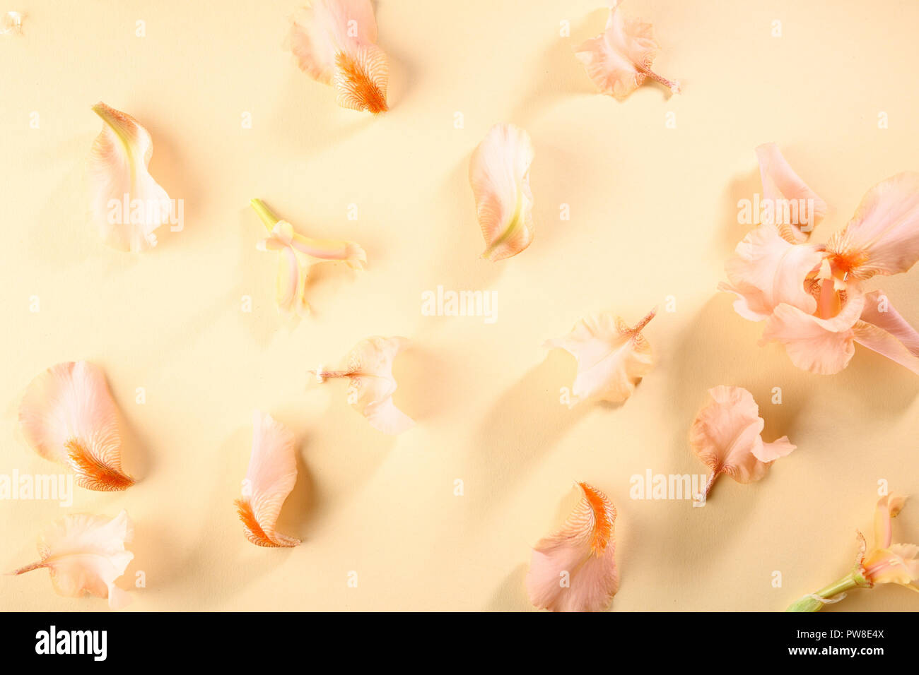 Flower elements background Stock Photo - Alamy