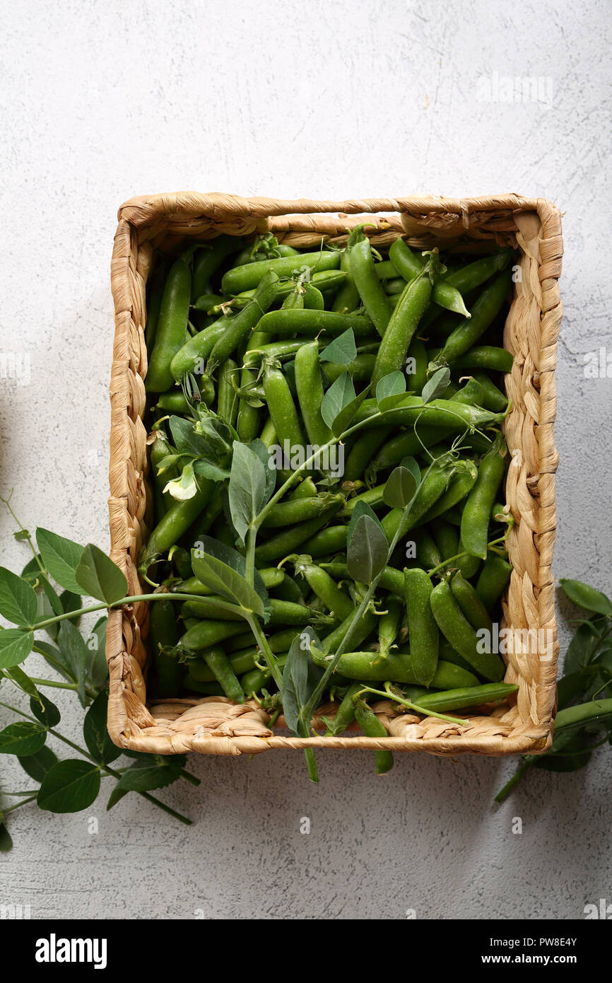 Harvest of green pea pods Stock Photo - Alamy
