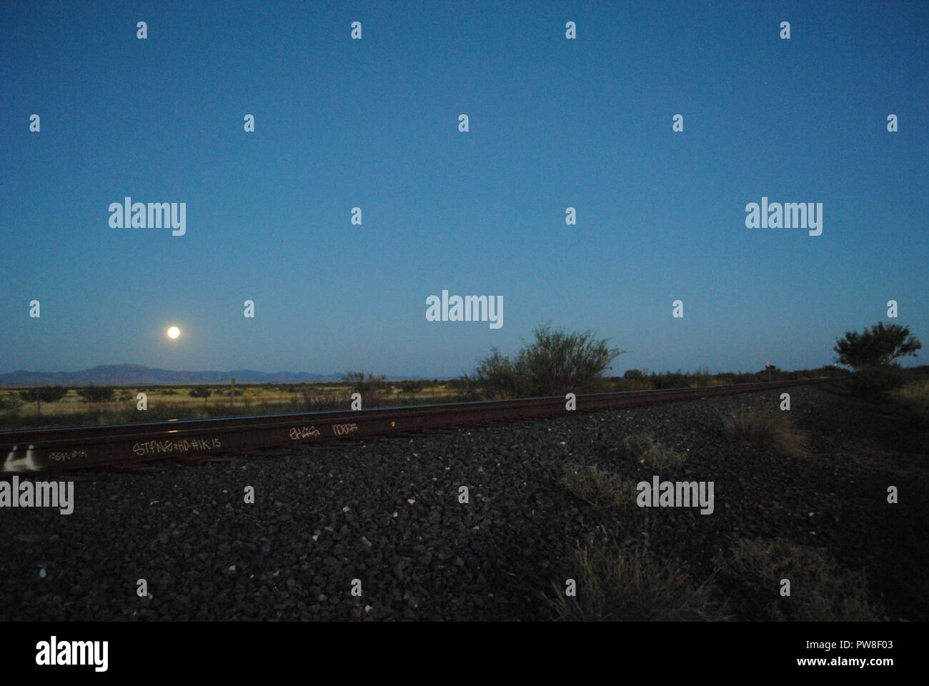 Texas skyline full moon hi-res stock photography and images - Alamy