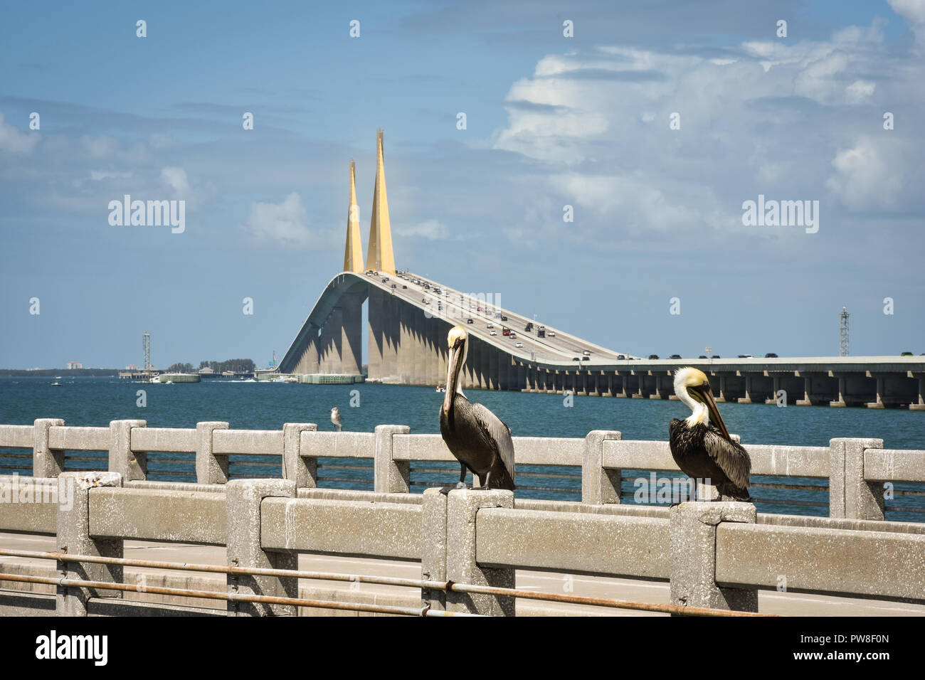 Sunshine skyway bridge hi-res stock photography and images - Alamy