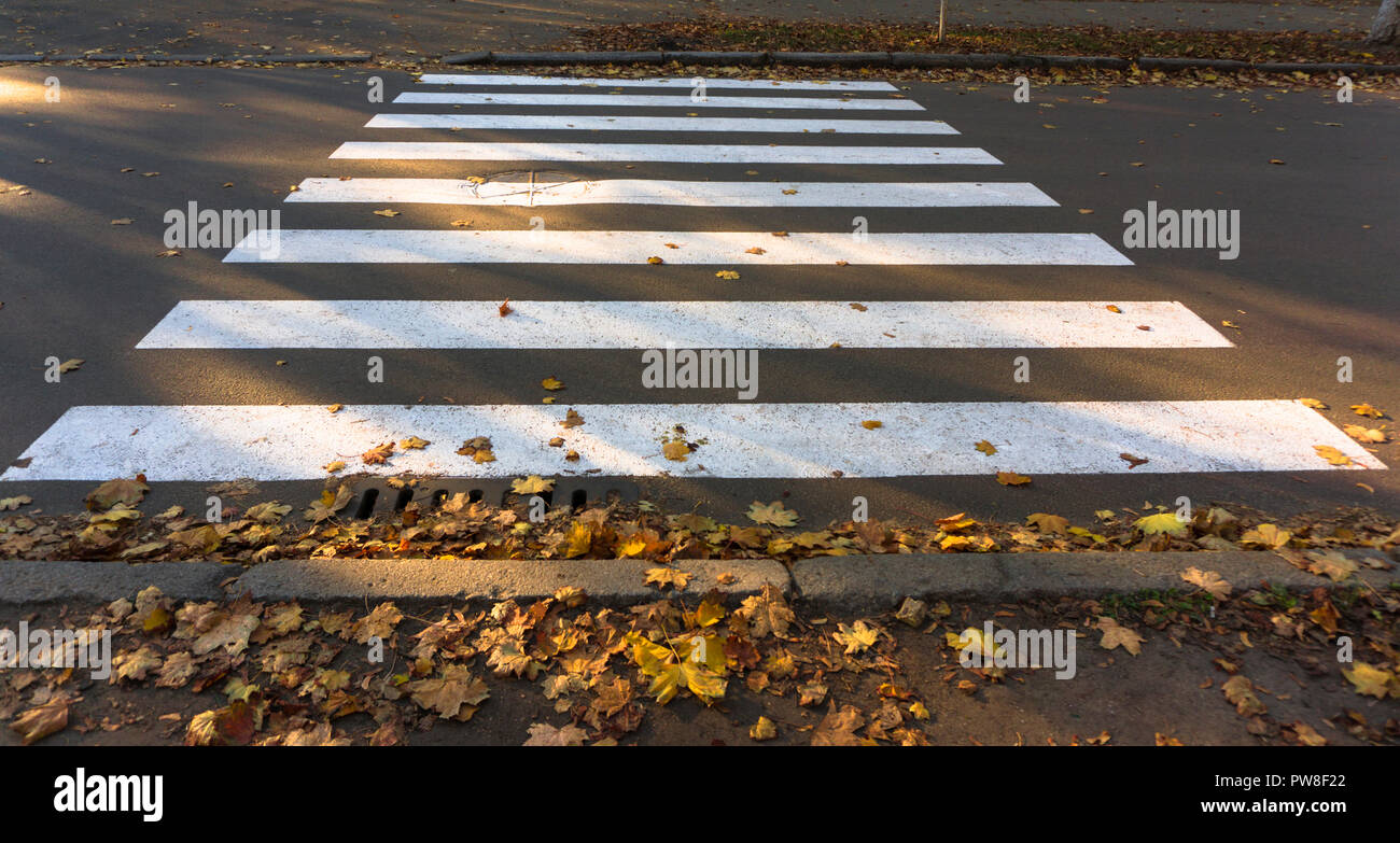 Zebra crossing white yellow lines hi-res stock photography and images ...