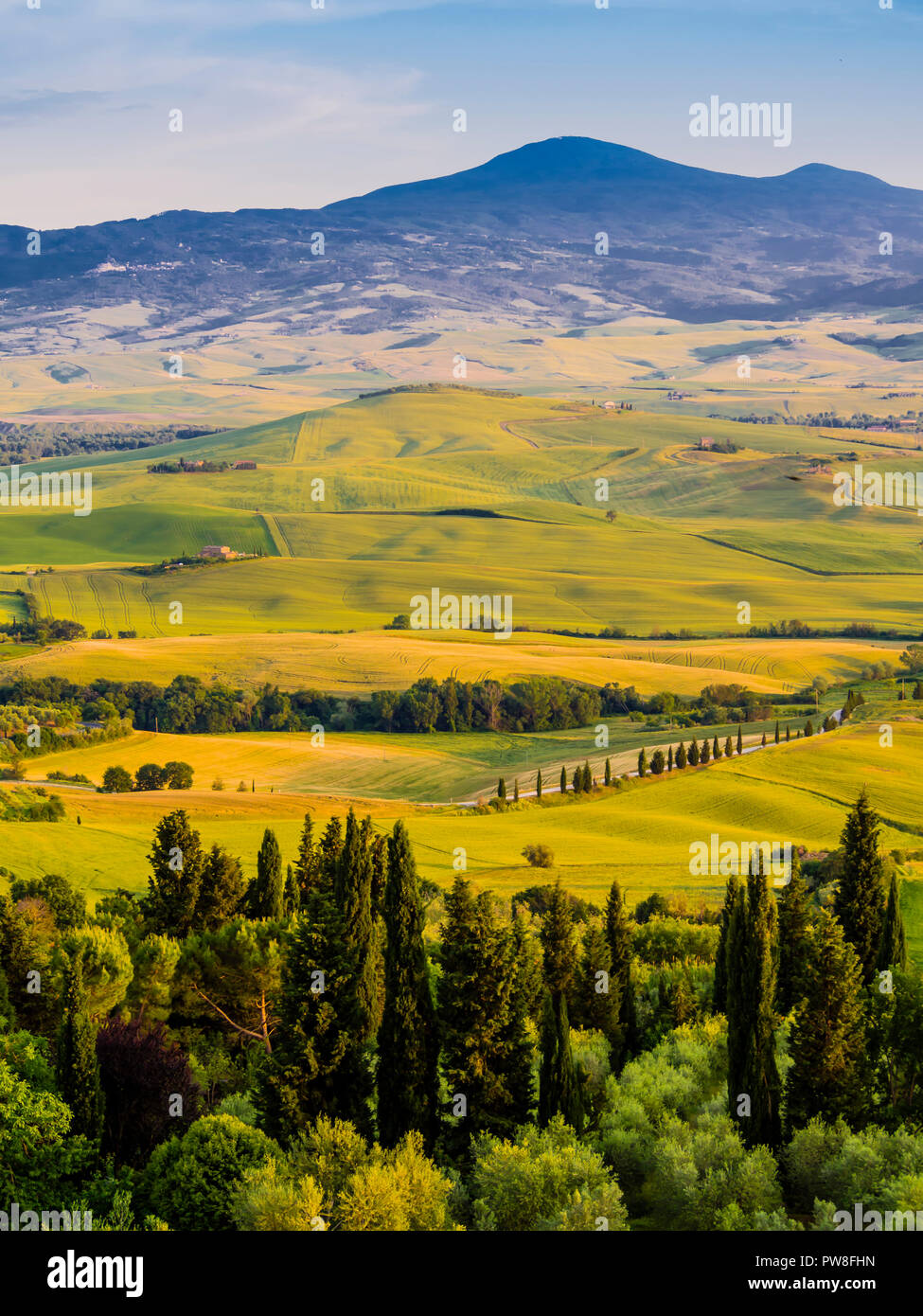 Charming tuscan landscape, with rolling hills and rows of cypresses ...