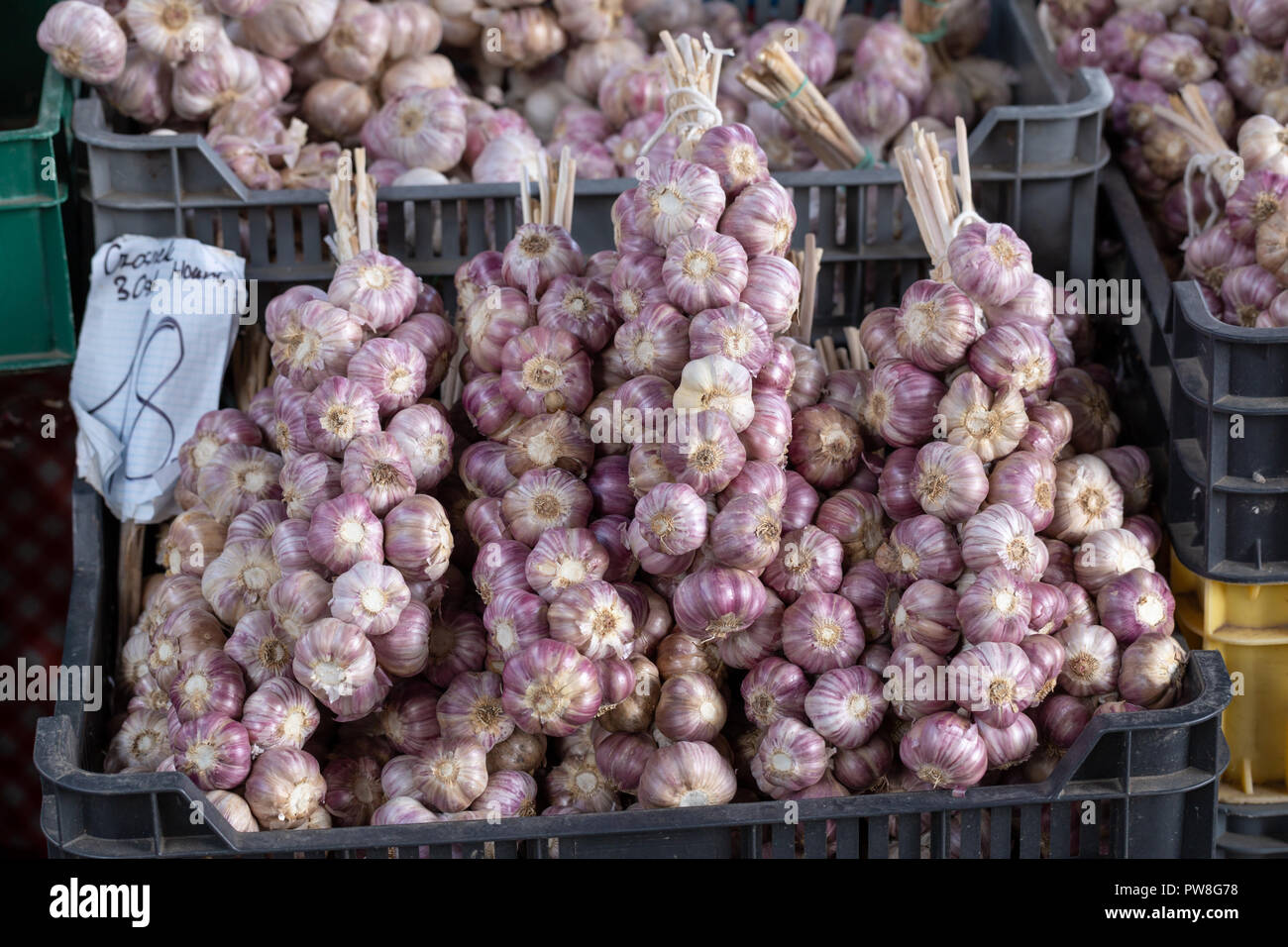 Fresh garlic at the market stall Stock Photo - Alamy