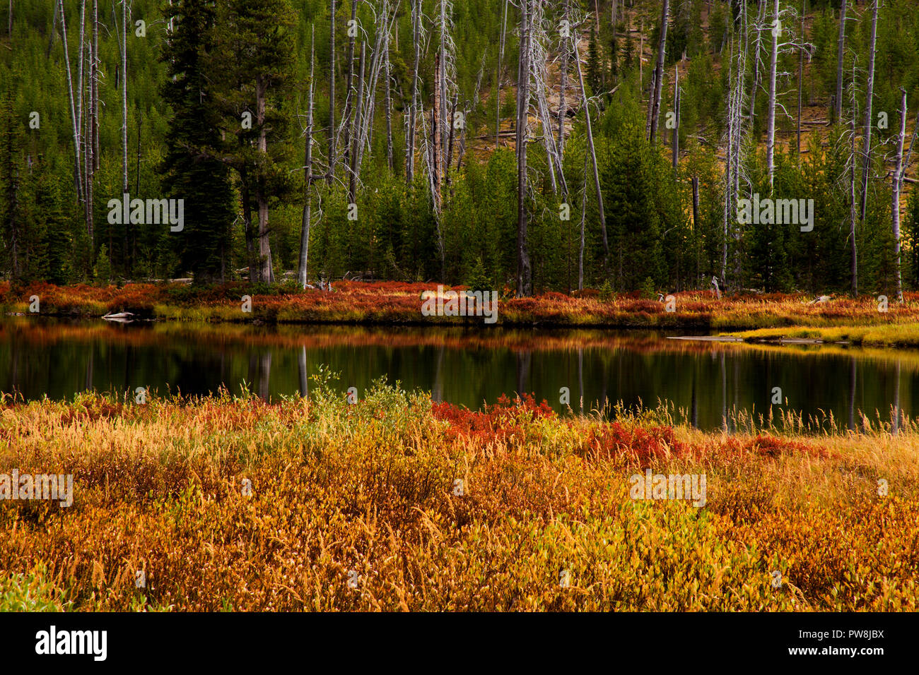 Yellowstone super volcano hi-res stock photography and images - Alamy