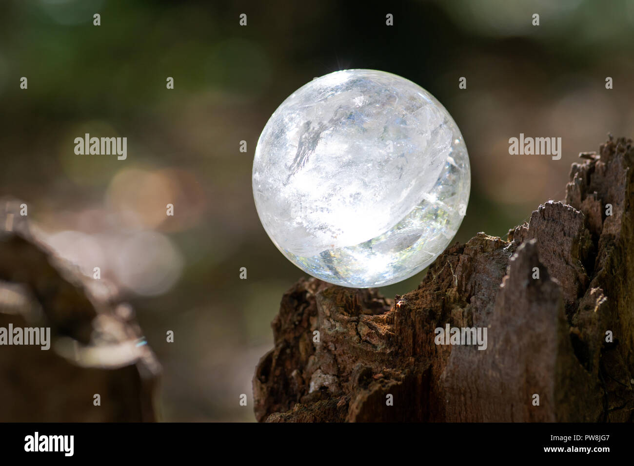 Lemurian Clear Quartz Sphere crystal magical orb on moss, bryophyta and ...