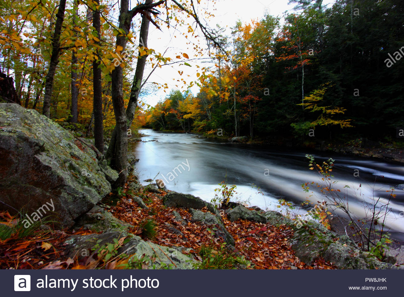 Rivers In Hampshire High Resolution Stock Photography and Images - Alamy
