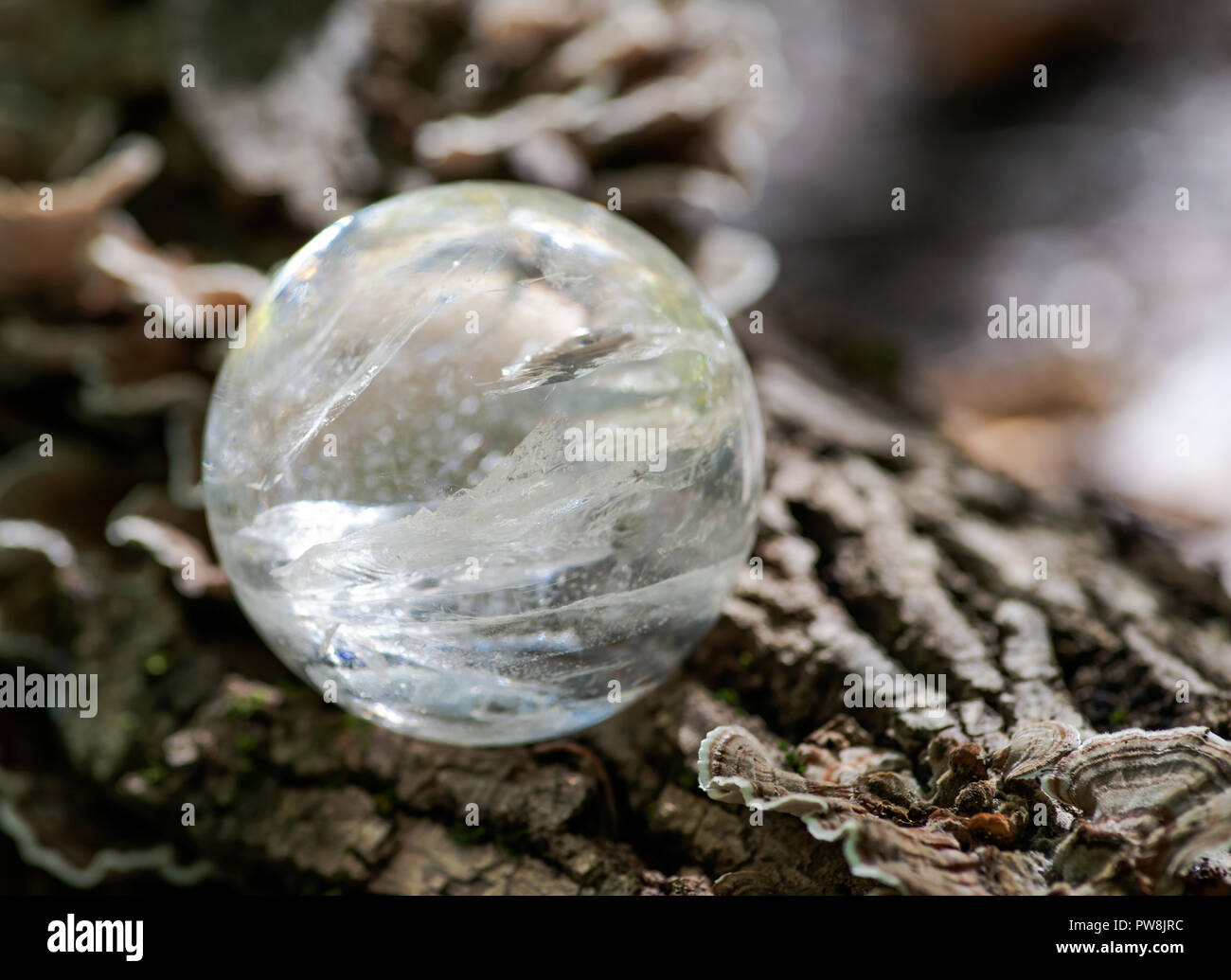 Lemurian Clear Quartz Sphere crystal magical orb on moss, bryophyta and ...
