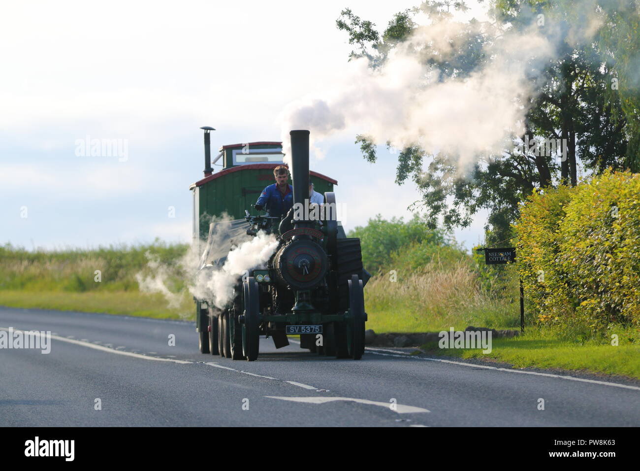 A steam traction engine makes it's way along a country road in North ...
