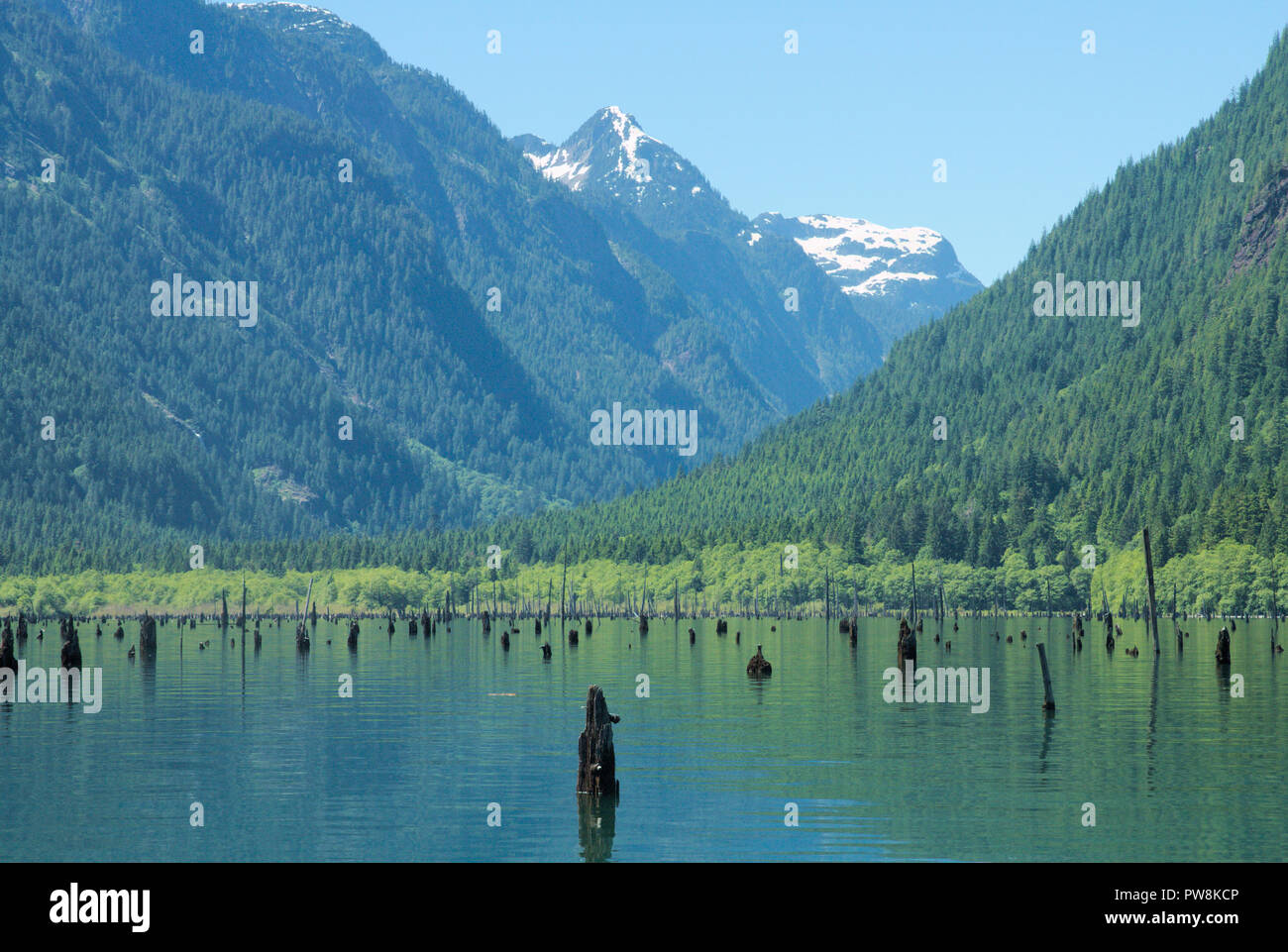 Stave River valley at the north end of Stave Lake in Mission, British ...