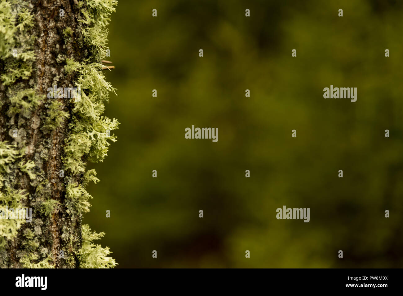 Outdoor plant environment hi-res stock photography and images - Alamy