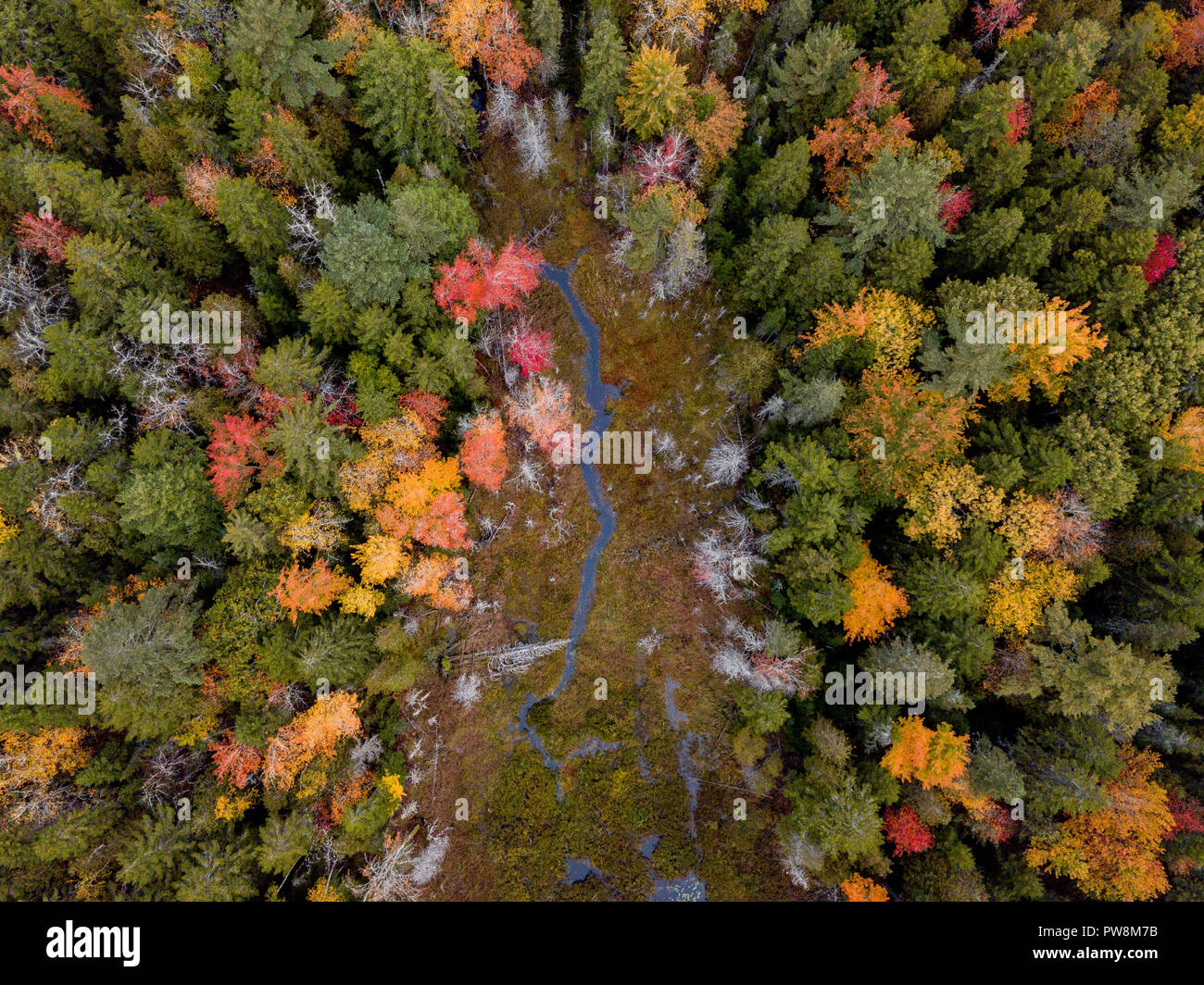 Fall Foliage From a Drone Stock Photo - Alamy