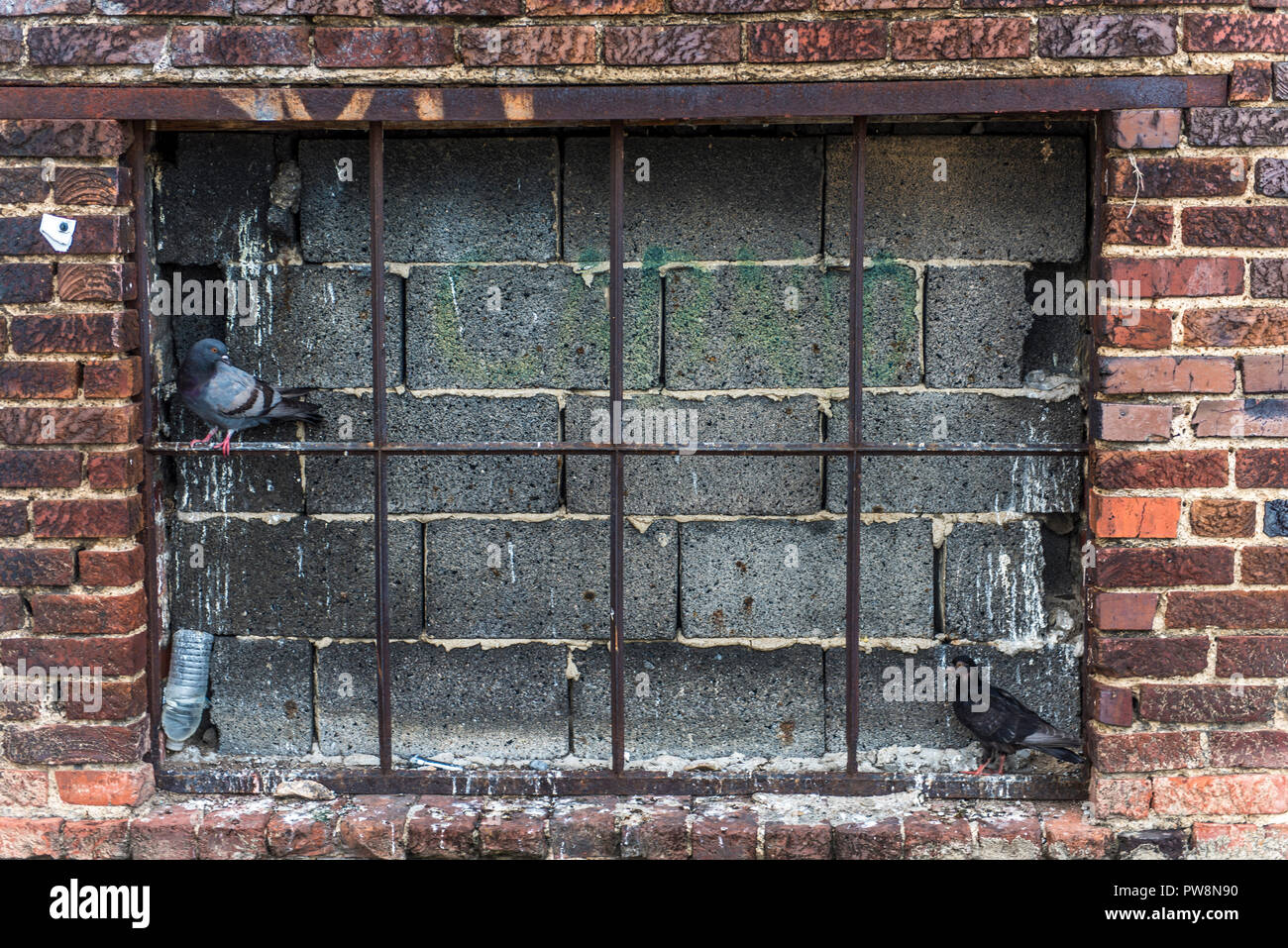 Window sealed off with cinder blocks in Nashville, Tennessee Stock ...