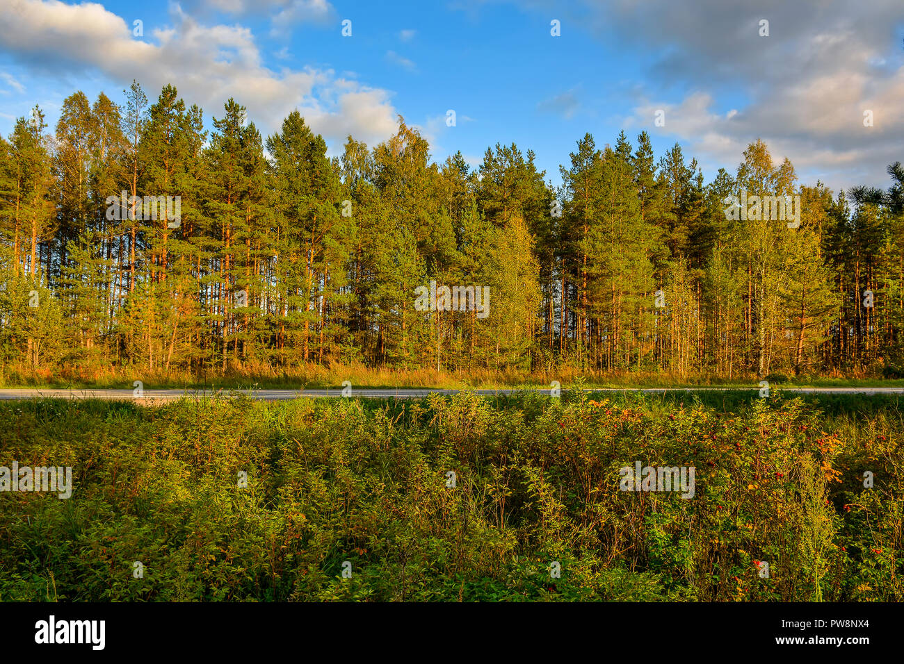 Kirovsky district hi-res stock photography and images - Alamy