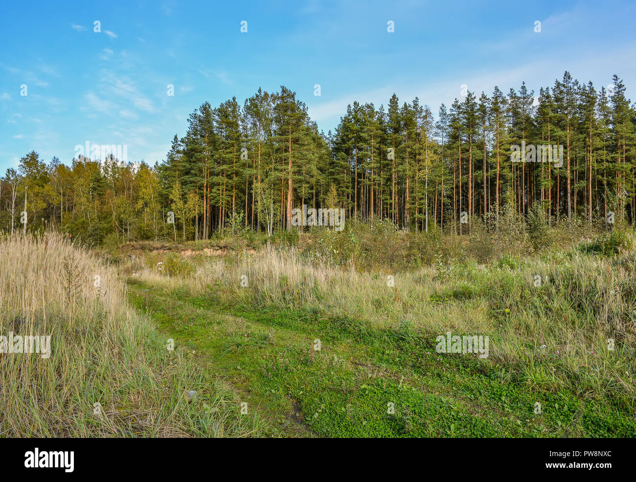 Kirovsky hi-res stock photography and images - Alamy