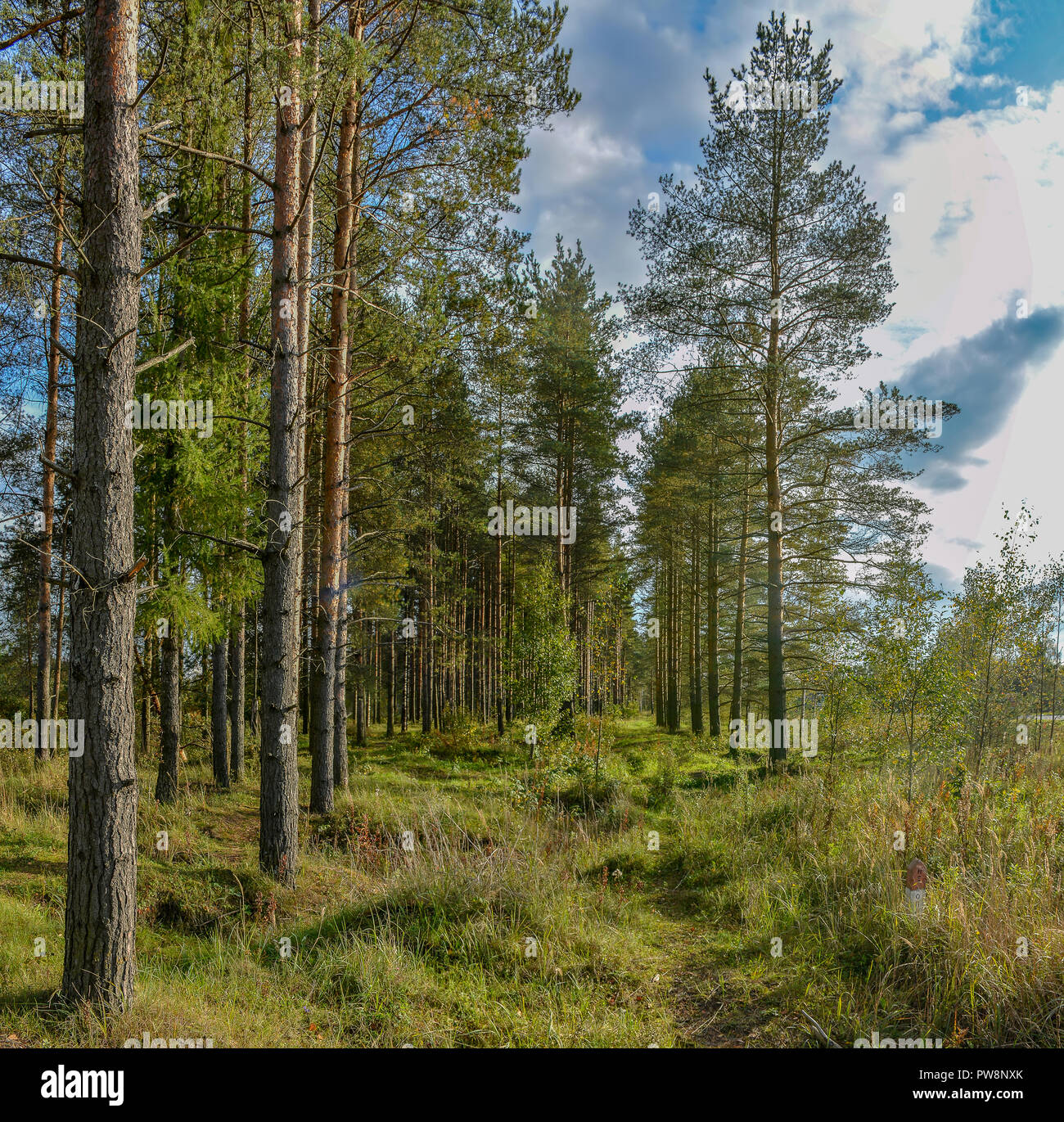 Kirovsky district hi-res stock photography and images - Alamy