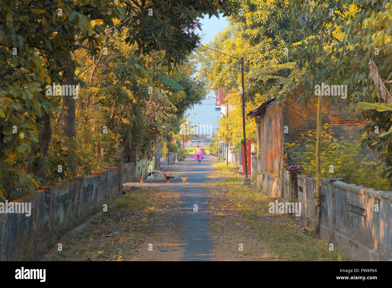 rural street scene in a Javanese village Stock Photo - Alamy