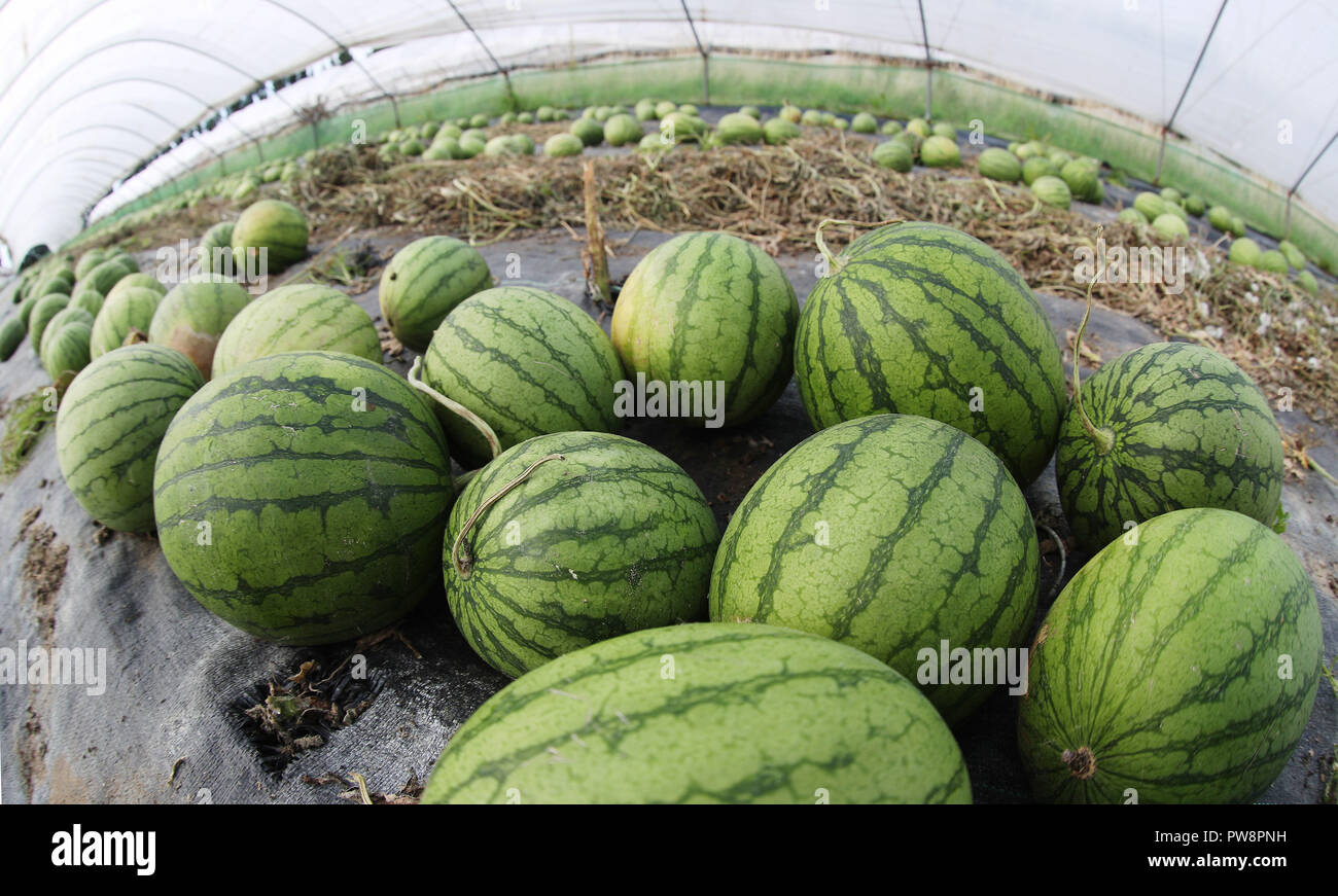 Warmer climates hi-res stock photography and images - Alamy