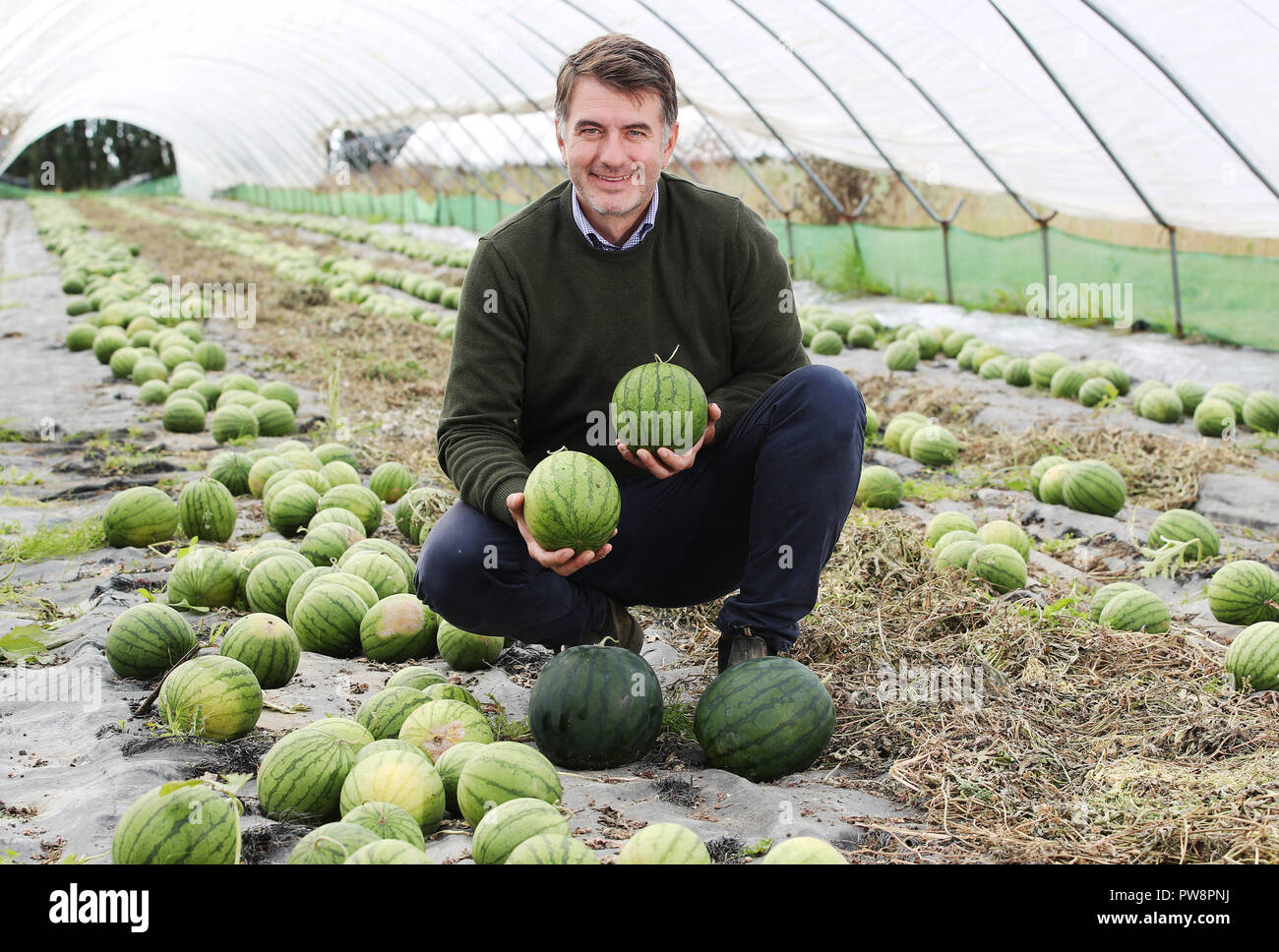 Grown in hot climates hi-res stock photography and images - Alamy