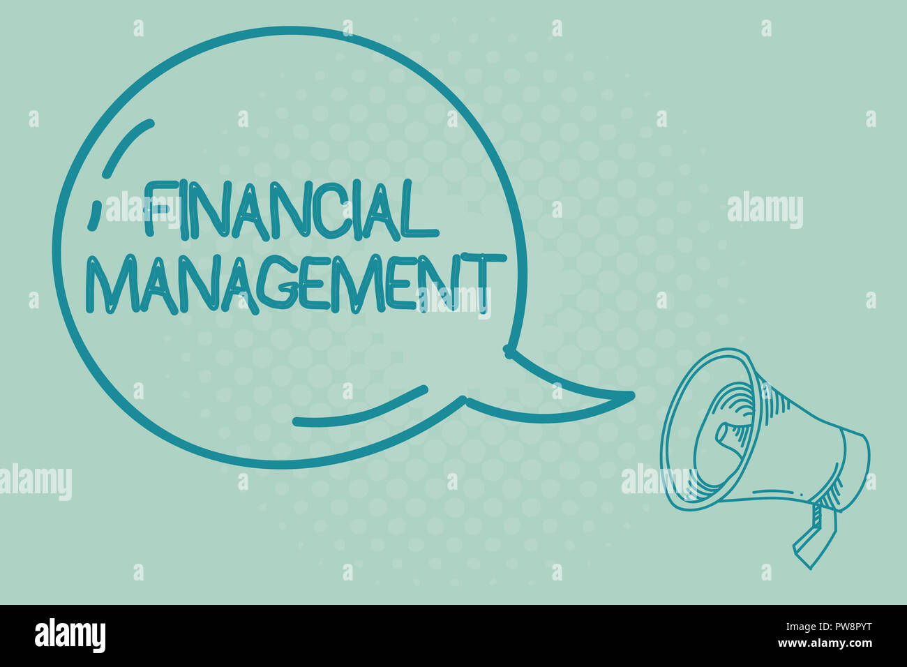 Text sign showing Financial Management. Conceptual photo efficient and ...