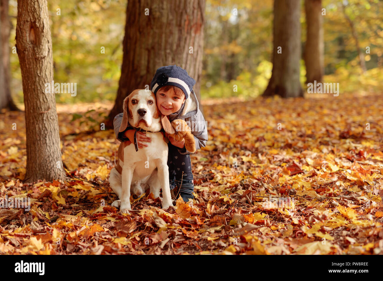 Little girl with beagle outdoors in the autumn park. Happy little girl ...